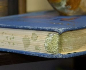 Cómo Quitar una Mancha de un Libro ⇒ 【¡Guía!】 ️
